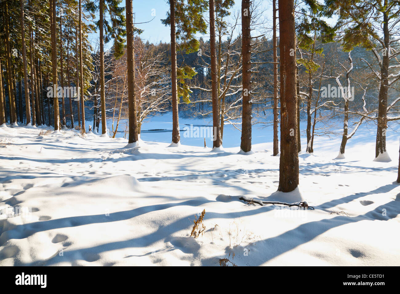 Snowscape winter hi-res stock photography and images - Alamy