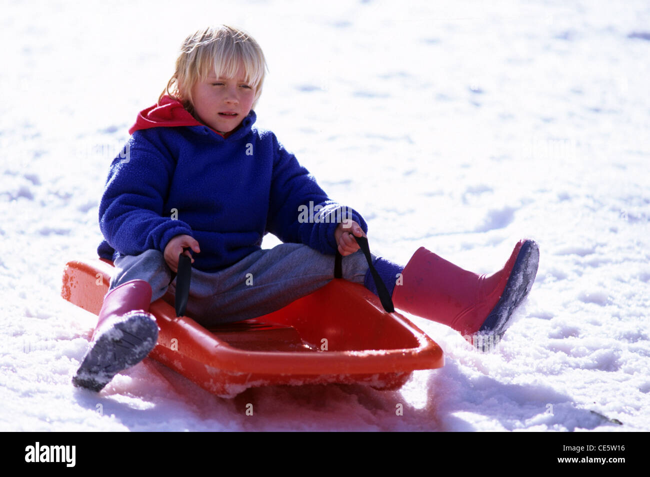 Young Girl Sledging in the snow Stock Photo - Alamy