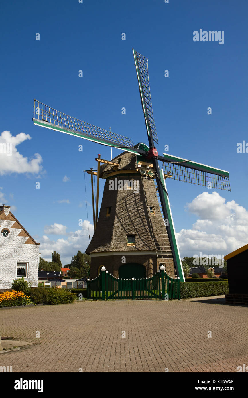 Dutch windmill with blue sky background on sunny summerday Stock Photo ...