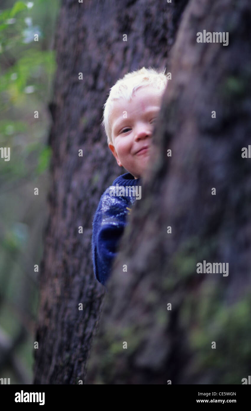 Young boy up a tree Stock Photo - Alamy