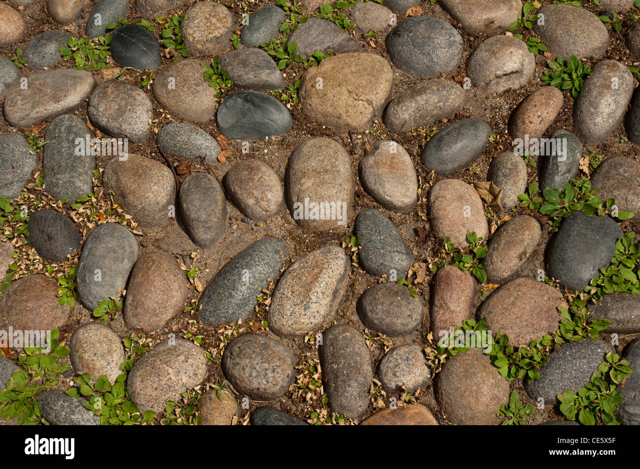 Boston cobblestone street hi-res stock photography and images - Alamy
