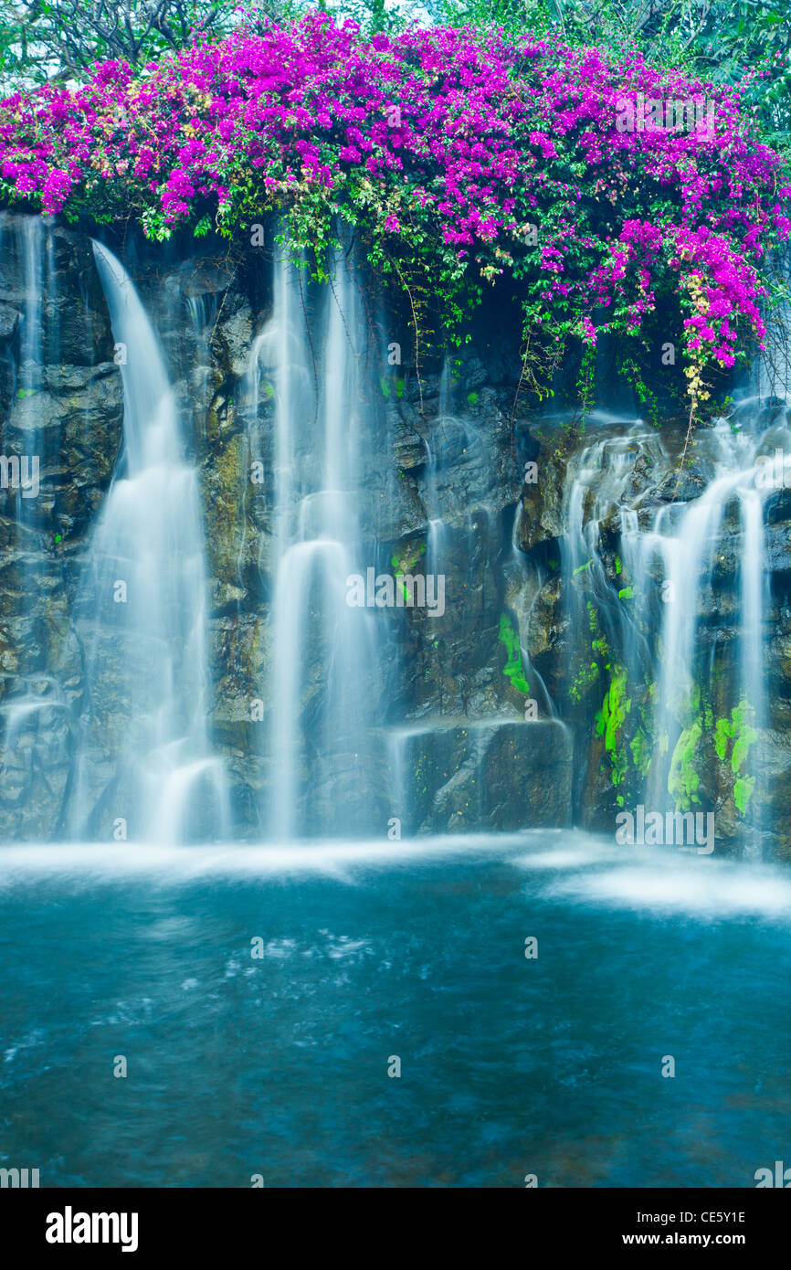 Beautiful Blue Waterfall in Hawaii Stock Photo - Alamy