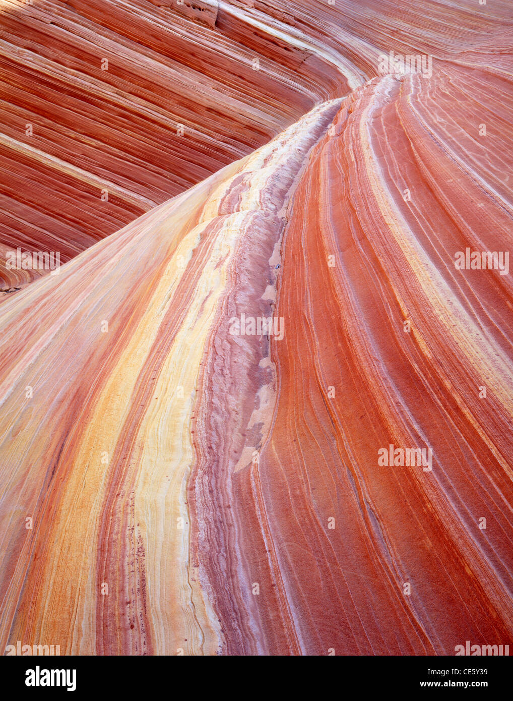 Bands of color run through sandstone in The Wave section of Coyote ...