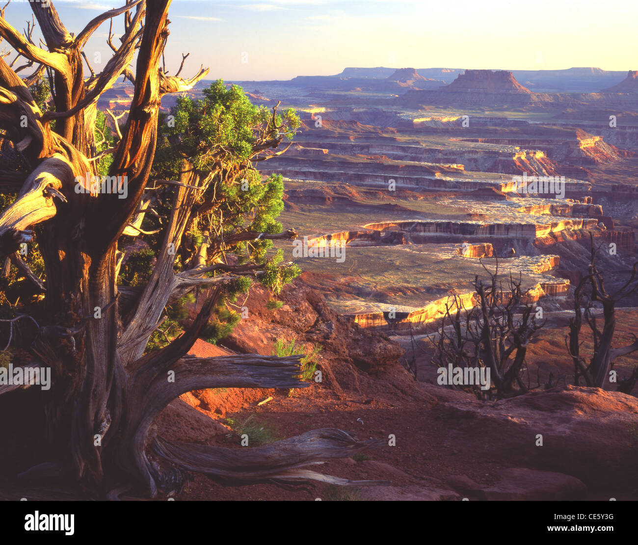 View at sunset from Green River Overlook in Canyonlands National Park ...