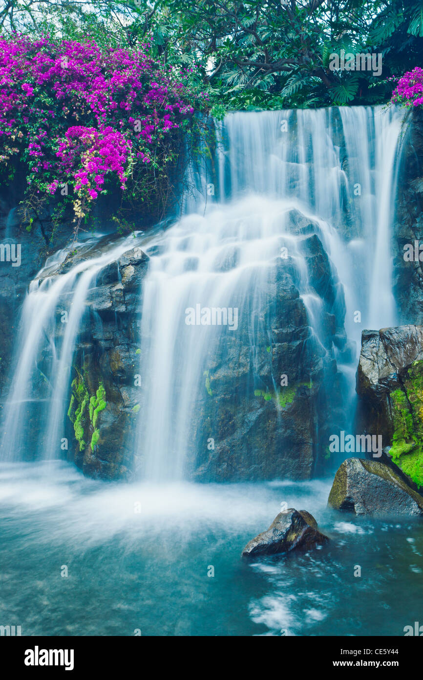 Beautiful Blue Waterfall in Hawaii Stock Photo - Alamy