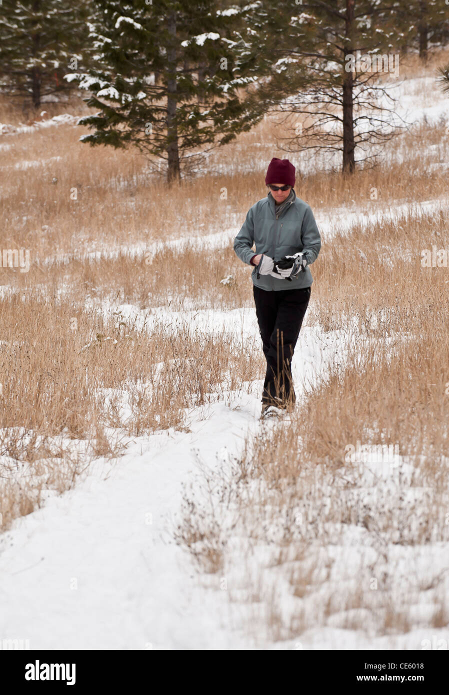 A hiker in the Rattlesnake Recreation Area checks her GPS near Missoula ...
