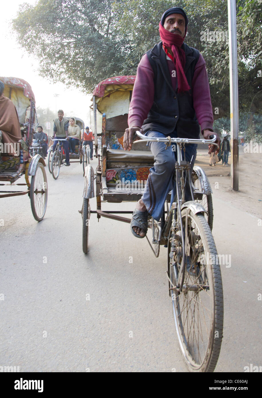 rickshaw puller at Magh Mela, Sangam, Allahabad, India Stock Photo - Alamy