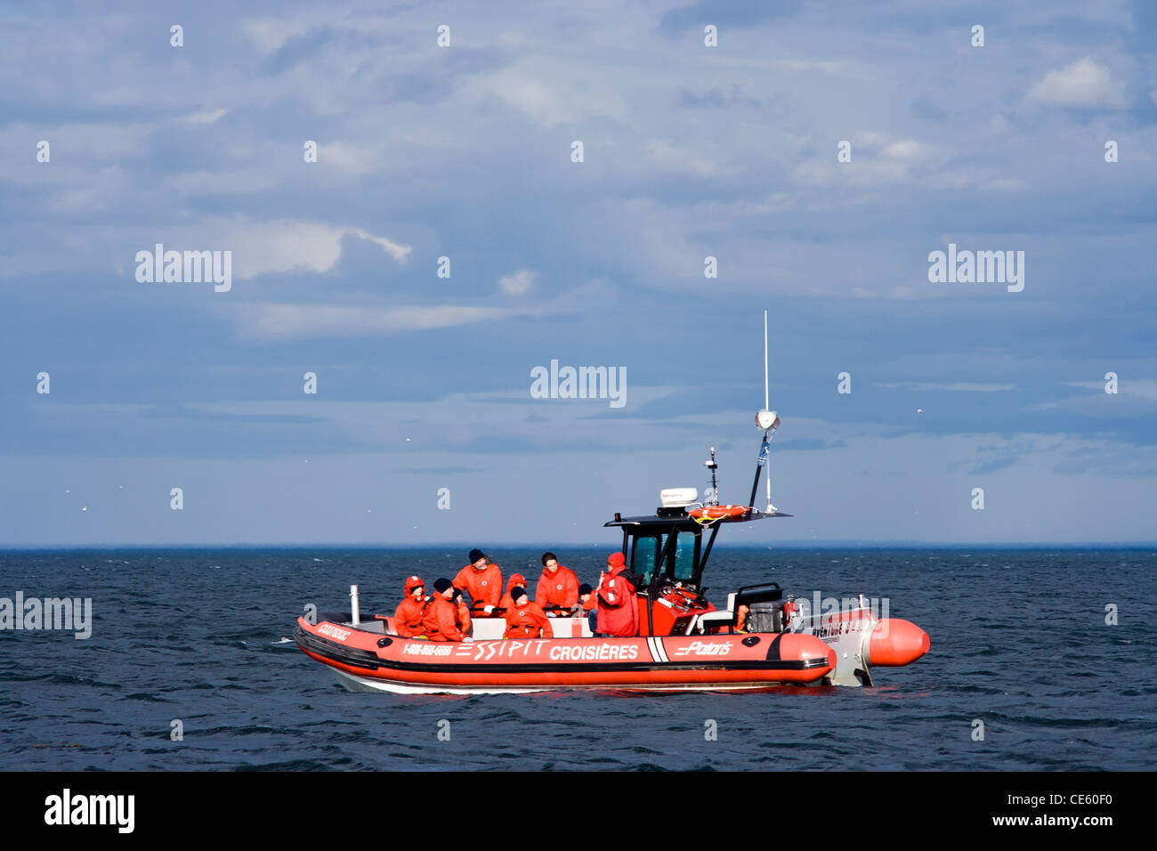Whale sightseeing in Tadoussac.Quebec, Canada.Whale watching safari on ...