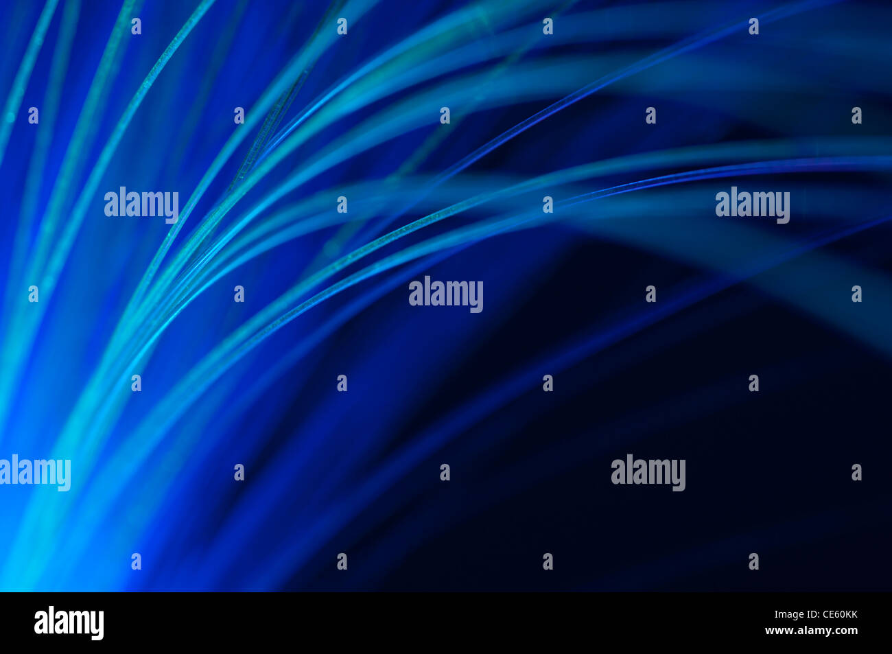 Blue colors optical fibers Stock Photo - Alamy