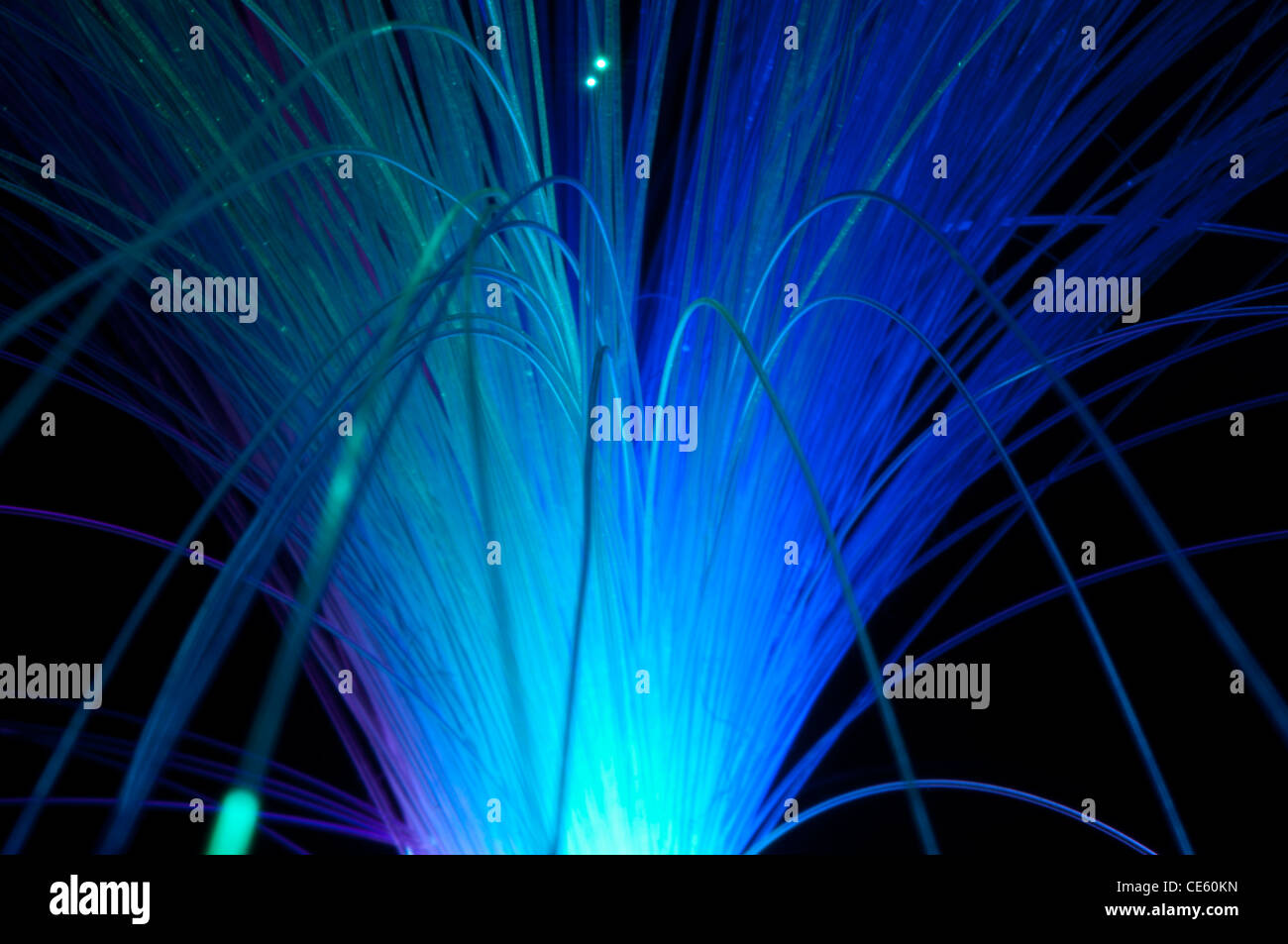 Blue colors optical fibers Stock Photo - Alamy