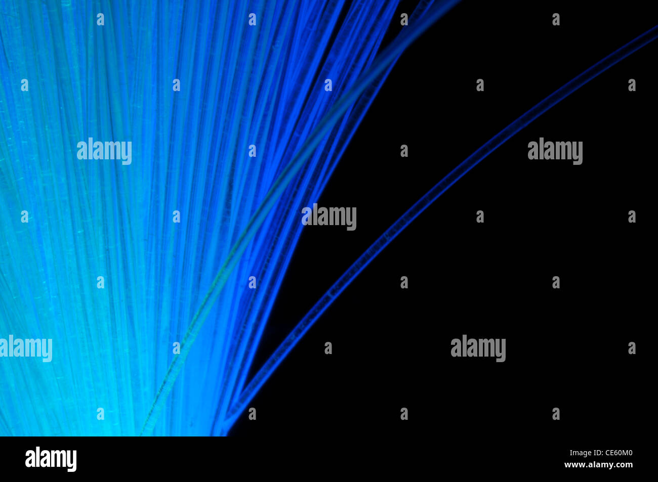 Blue colors optical fibers Stock Photo - Alamy