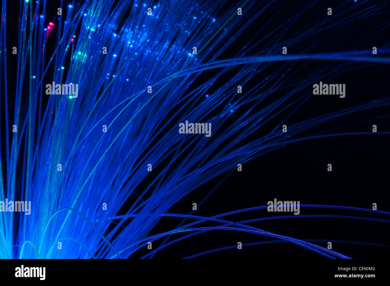Blue colors optical fibers Stock Photo - Alamy