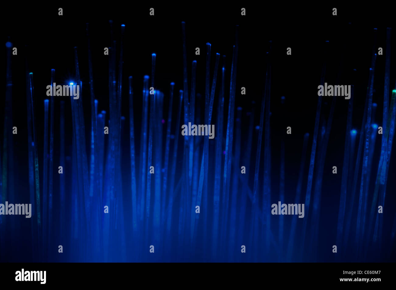 Blue colors optical fibers Stock Photo - Alamy