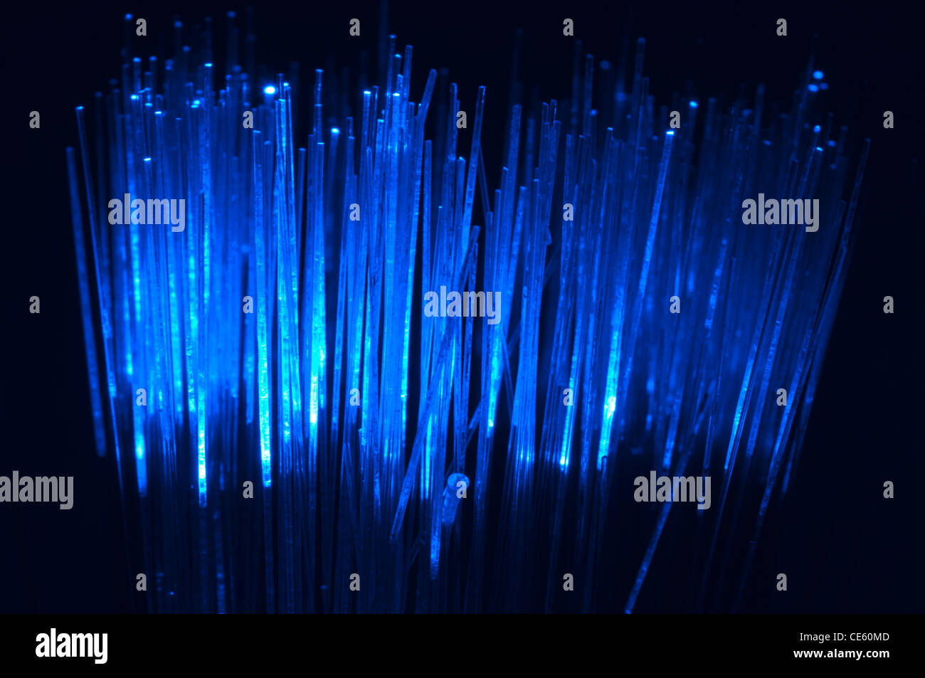 Blue colors optical fibers Stock Photo - Alamy