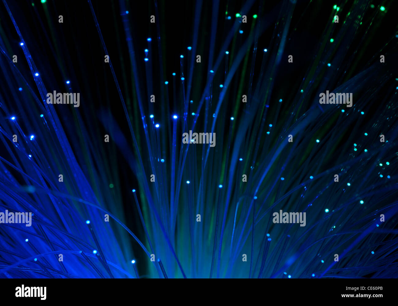 Blue colors optical fibers Stock Photo - Alamy