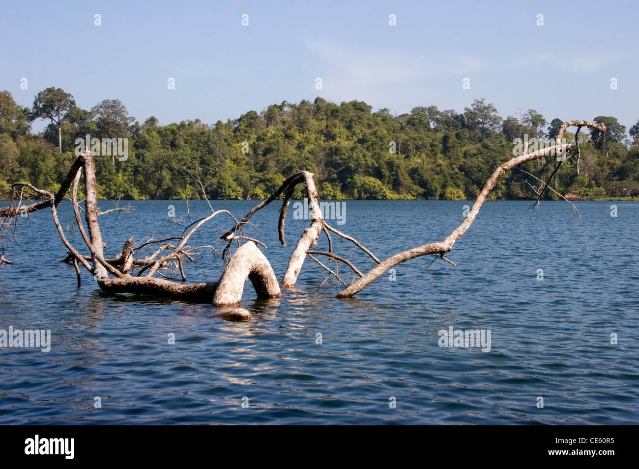 Yeak Laom Volcanic Lake is a major tourist destination in Ratanakiri ...