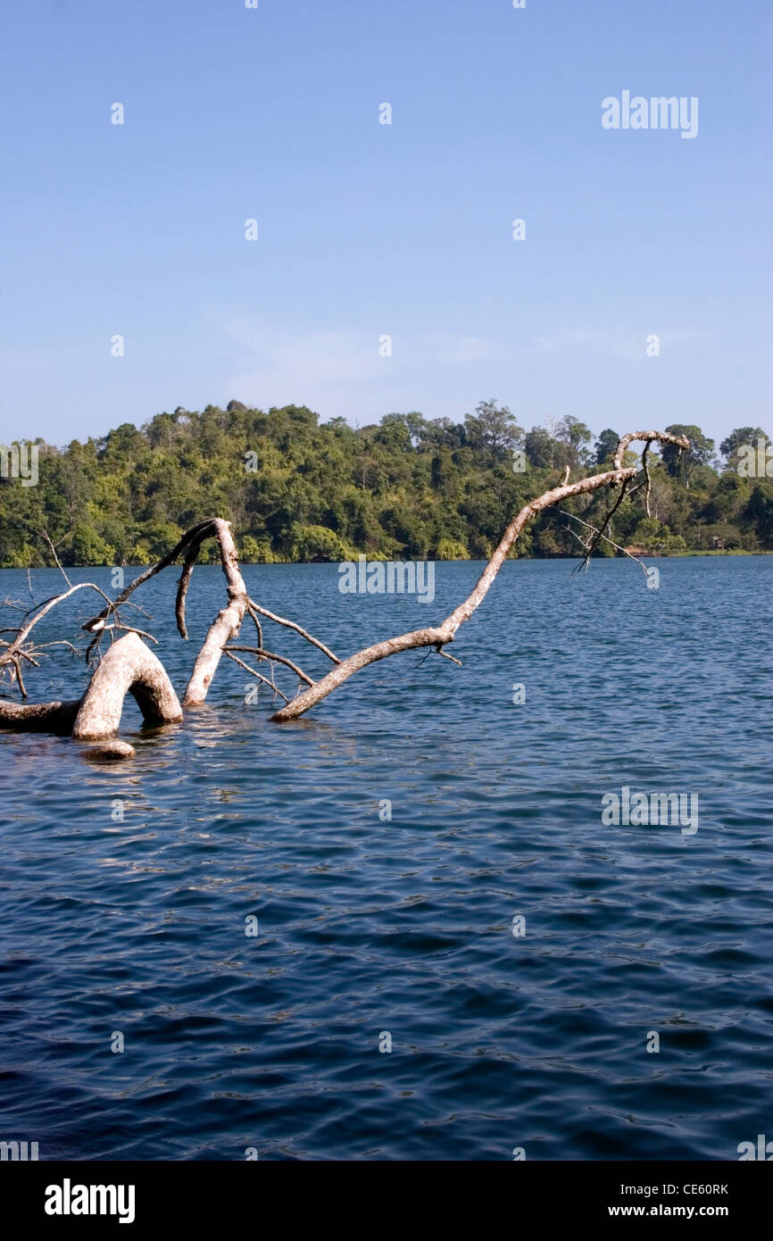 Yeak Laom Volcanic Lake is a major tourist destination in Ratanakiri ...