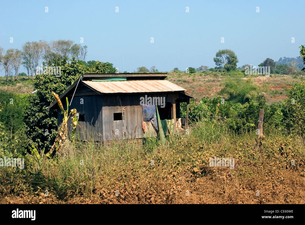 A typical Cambodian wooden home on stilts is part of the rural ...