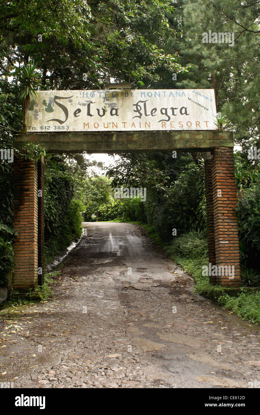 Selva negra coffee estate hi-res stock photography and images - Alamy
