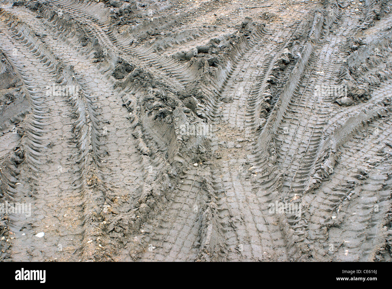 Traces on the dirty earth Stock Photo - Alamy