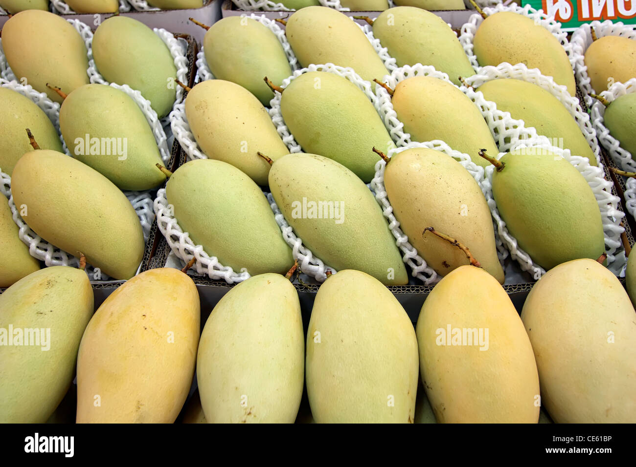 Thai Mangoes at the Farmers Cooperative Market in Bangkok Stock Photo ...