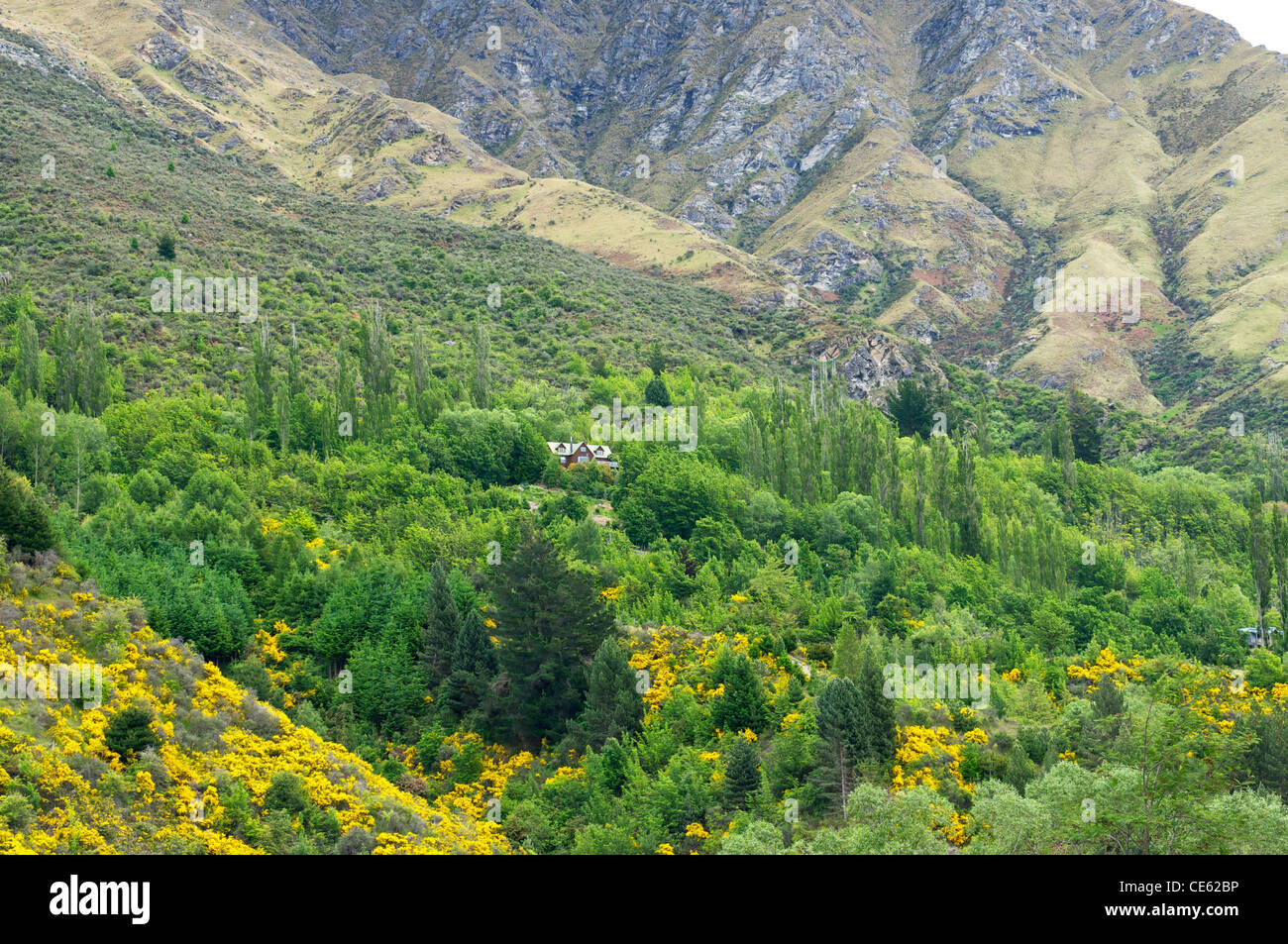 House on a hillside surrounded by a forest Stock Photo - Alamy