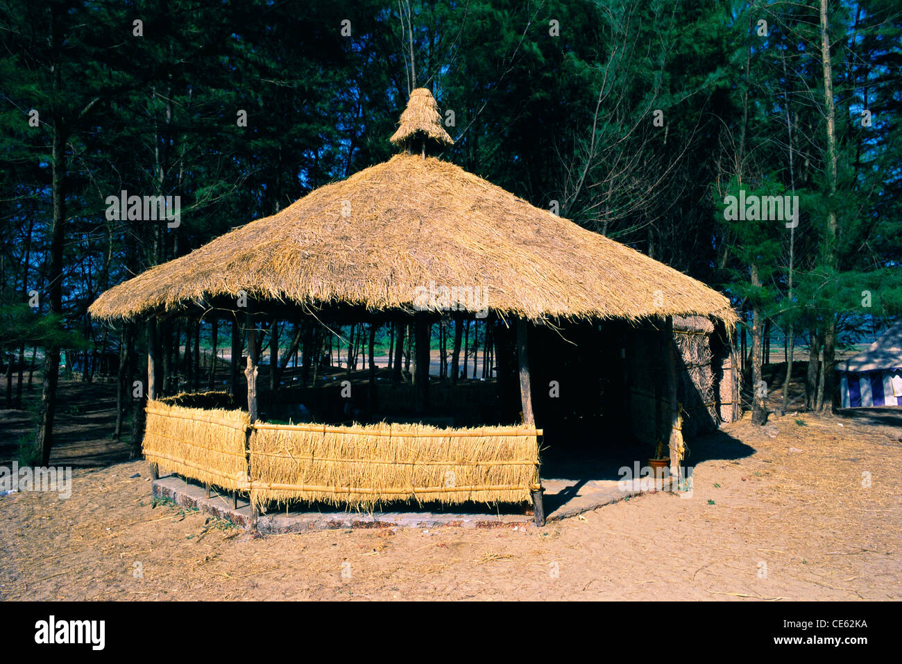 thatched conical roof dry grass windowless tent restaurant MTDC ...