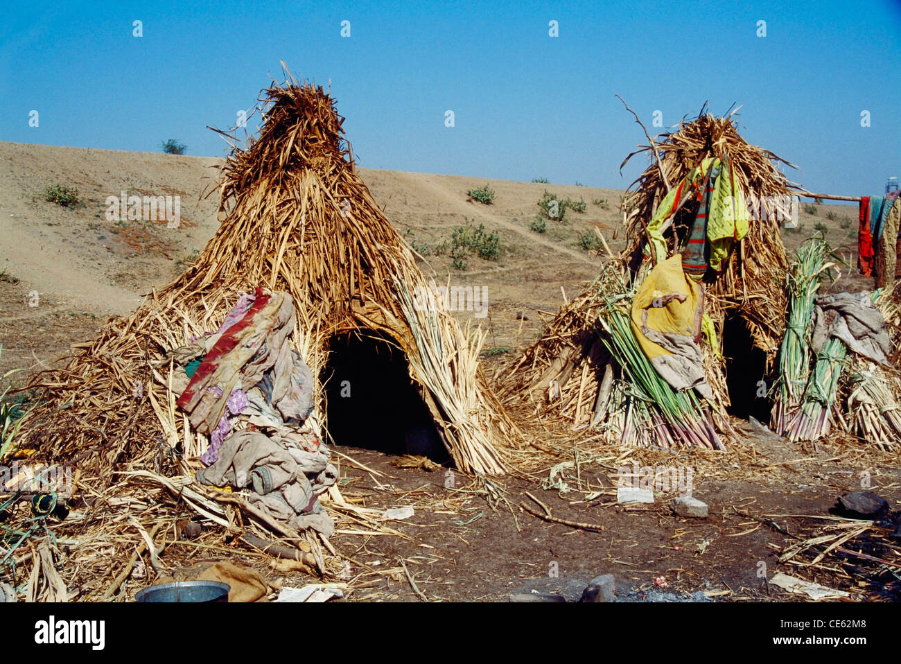 dry grass huts Maharashtra India Stock Photo - Alamy