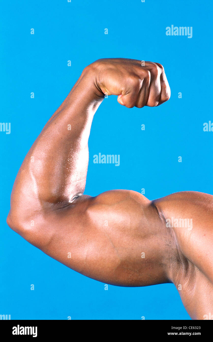 Body Builder showing arm muscles MR#411 Stock Photo - Alamy