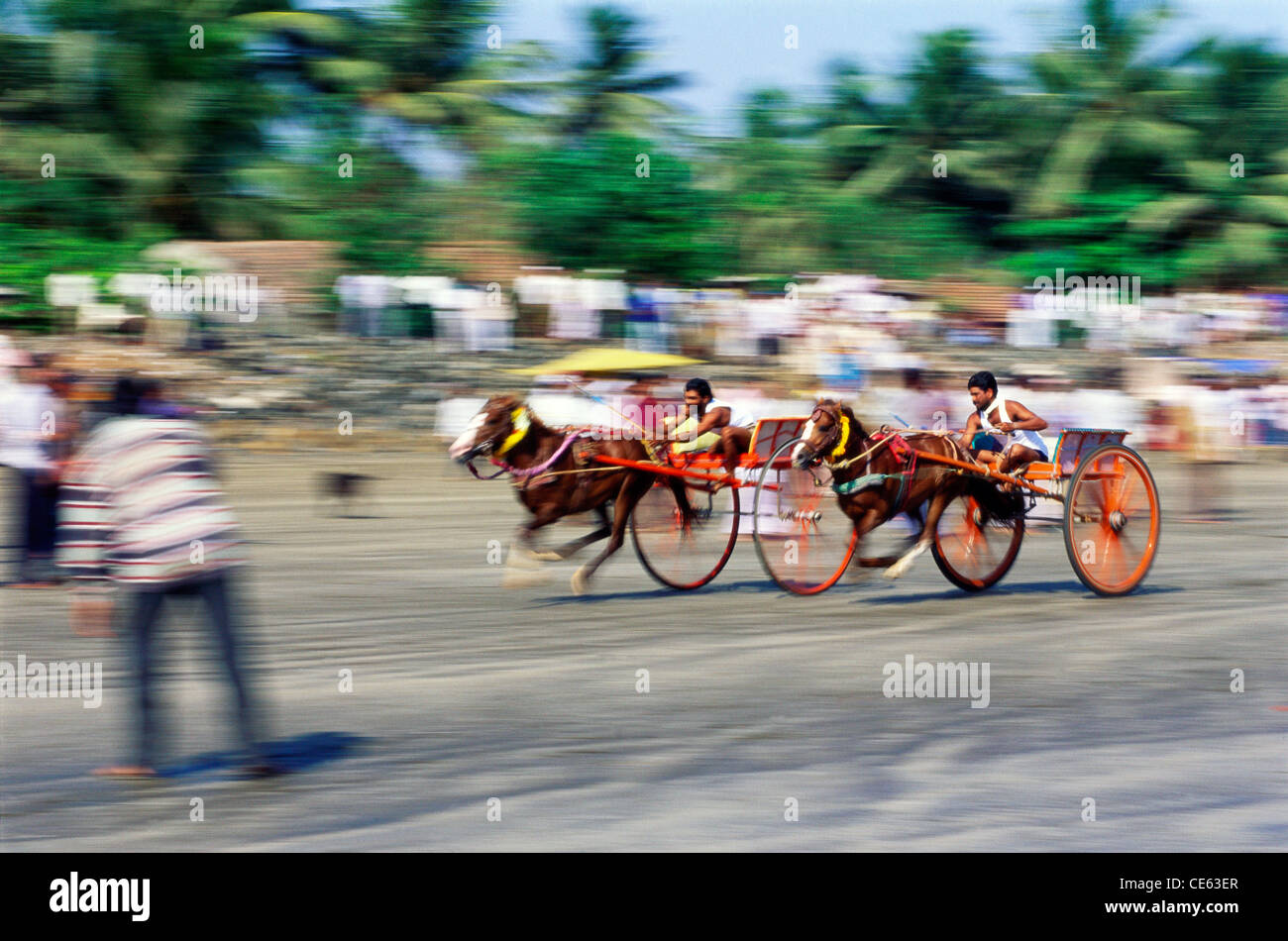 Harness racing ; Horse racing ; Horse cart race ; Alibag ; Alibaug ...