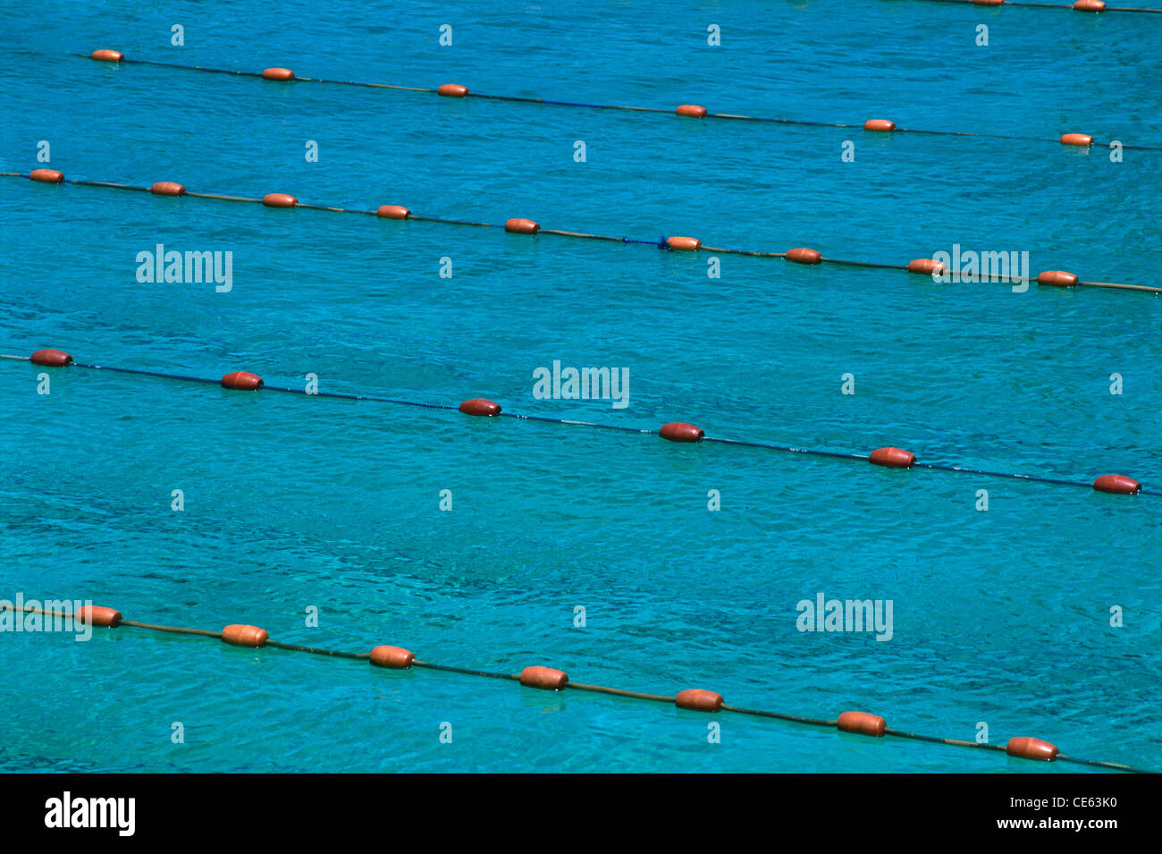 Swimming pool tracks lanes Stock Photo - Alamy