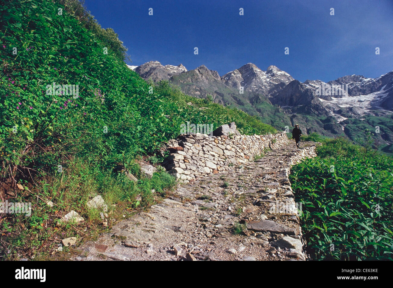 Valley of flowers trekking route from Govindghat to Ghangaria ...