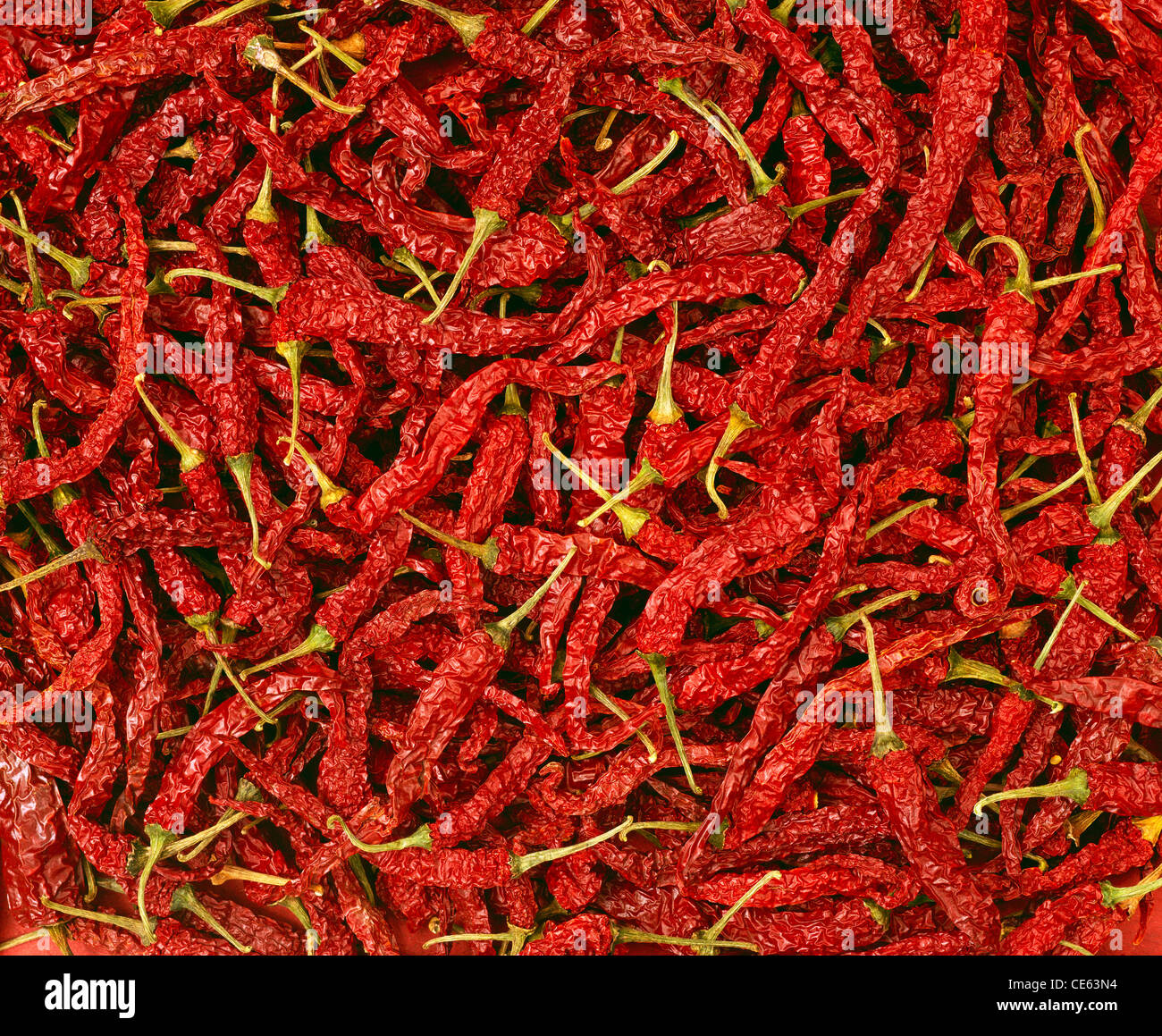 Dry red chillies Stock Photo - Alamy