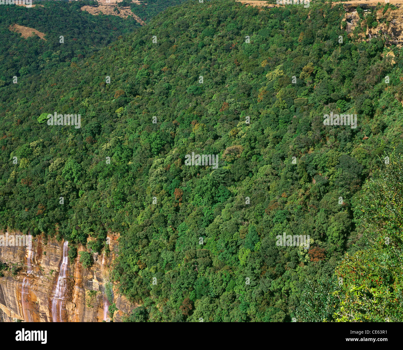 Aerial view of tropical rainforest of waterfall ; Cherrapunji ...
