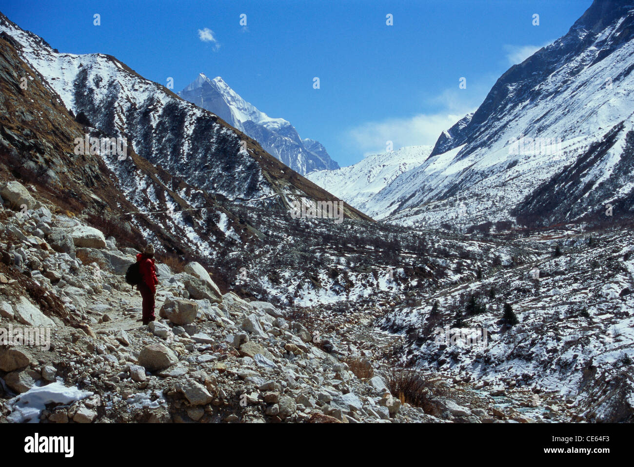 Trekking ; landscape ; snowscape ; Gangotri ; Greater Himalayan Range ...