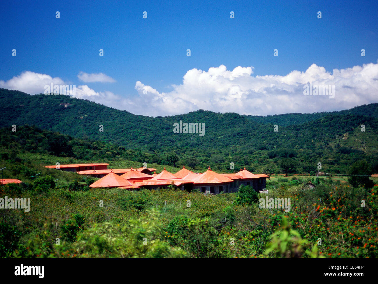 Salim ali hi-res stock photography and images - Alamy