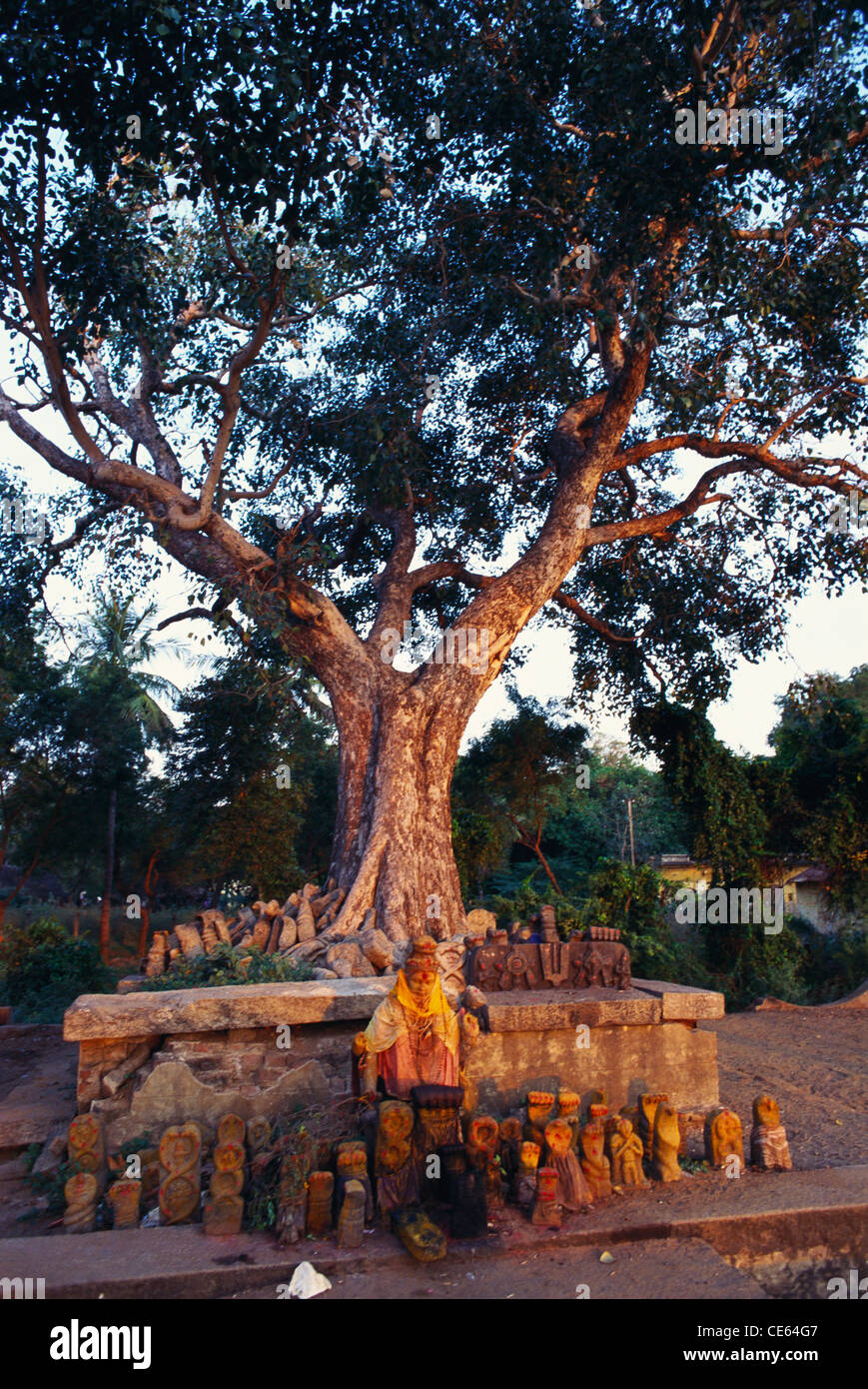 Tree goddess hi-res stock photography and images - Alamy