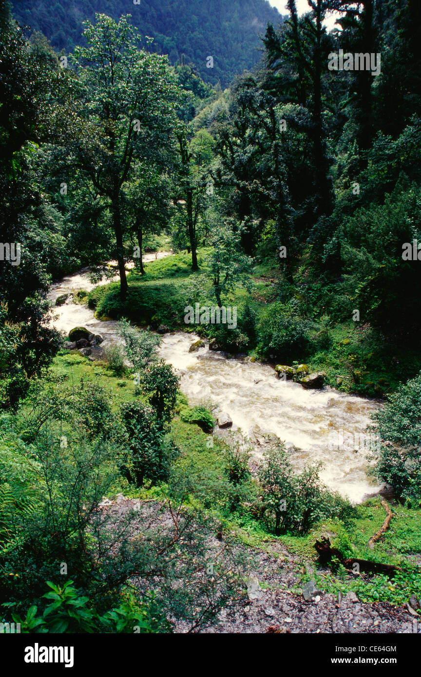 Neel Tree High Resolution Stock Photography and Images - Alamy