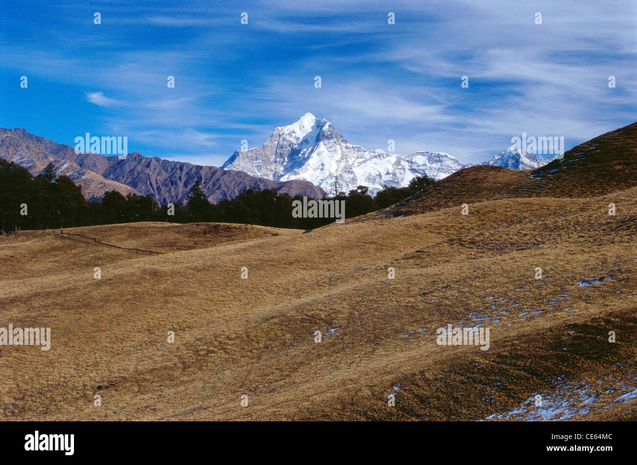 Dronagiri Mountain peak ; Sanjeevani Parvat ; Dunagiri ; Joshimath ...