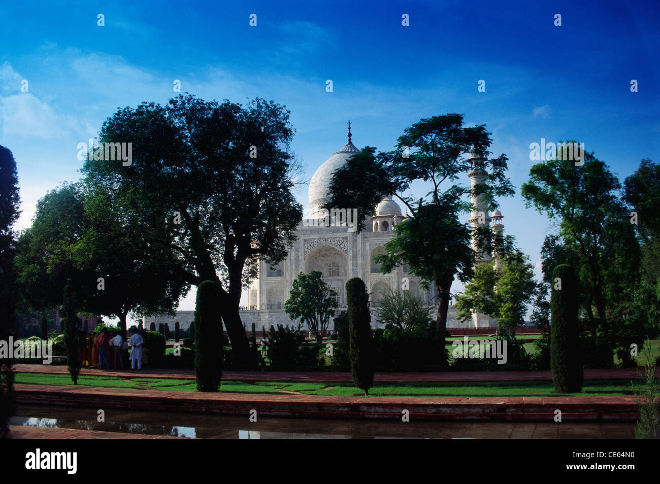 Taj Mahal with garden trees ; white marble mausoleum ; Mughal ...