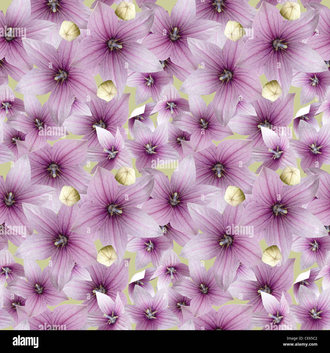 Repeating scroll pattern hi-res stock photography and images - Alamy