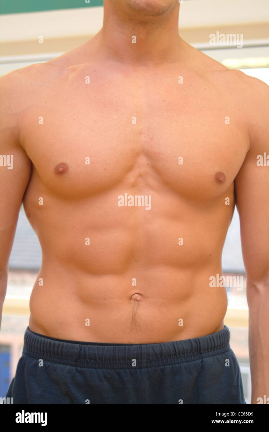 Fit male torso showing abdominal muscles Stock Photo - Alamy