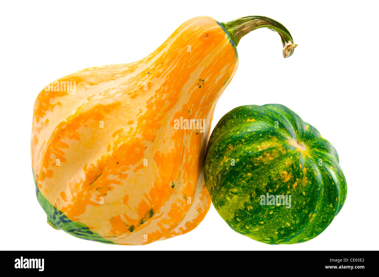 yellow and green decorative squashes isolated on white background Stock ...