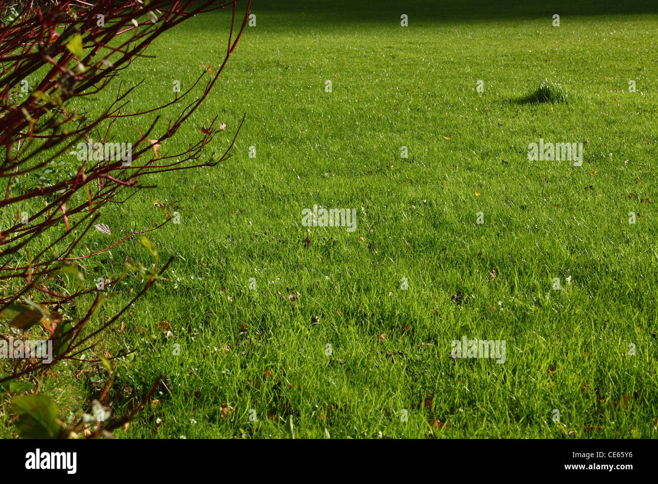 Little mound hi-res stock photography and images - Alamy