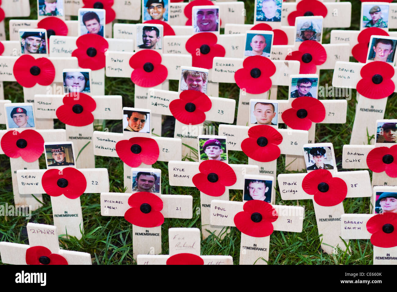 Remembrance Sunday London Stock Photo - Alamy
