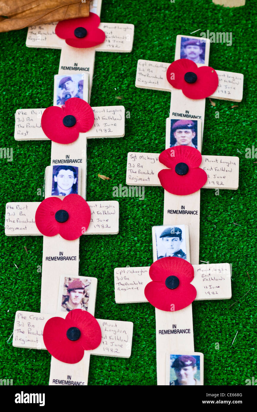 Remembrance Sunday London Stock Photo - Alamy