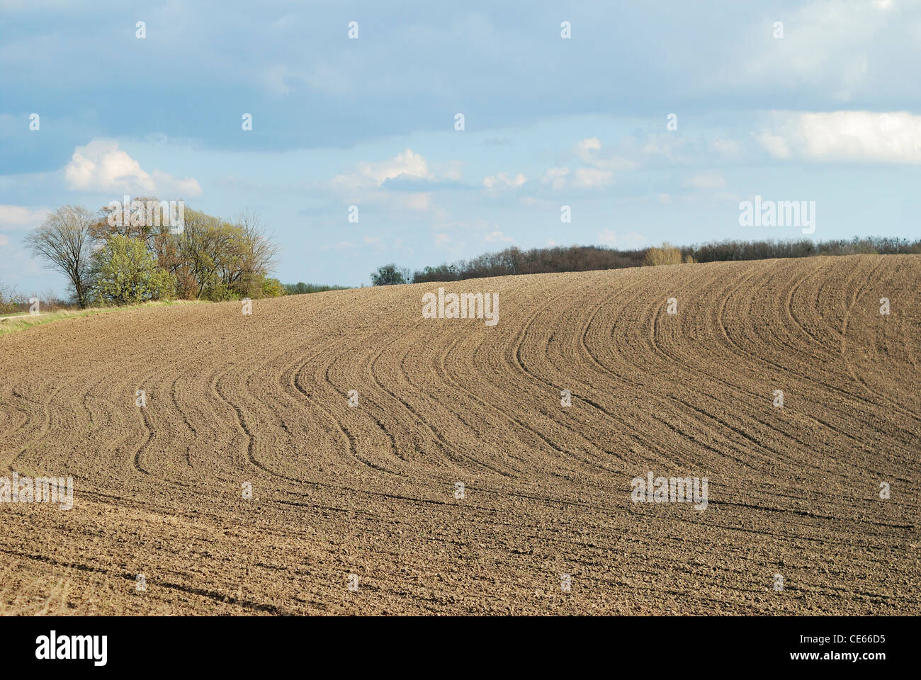 Lines in the spring field. Early springtime in the countryside Stock ...