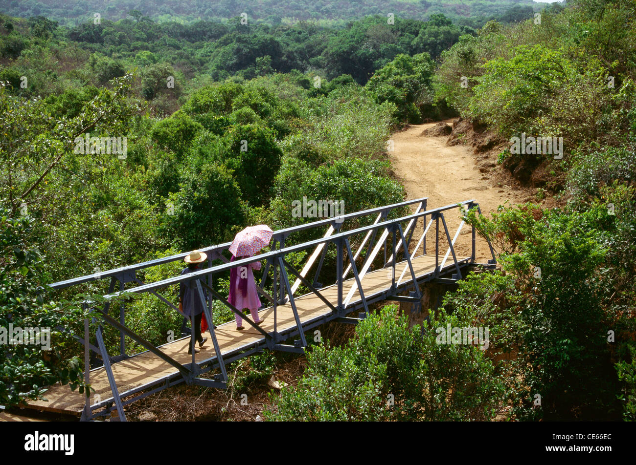 Amboli forest hi-res stock photography and images - Alamy