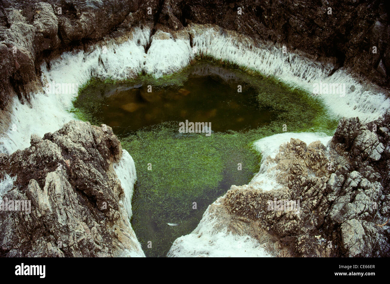 Map of India in nature Stock Photo - Alamy
