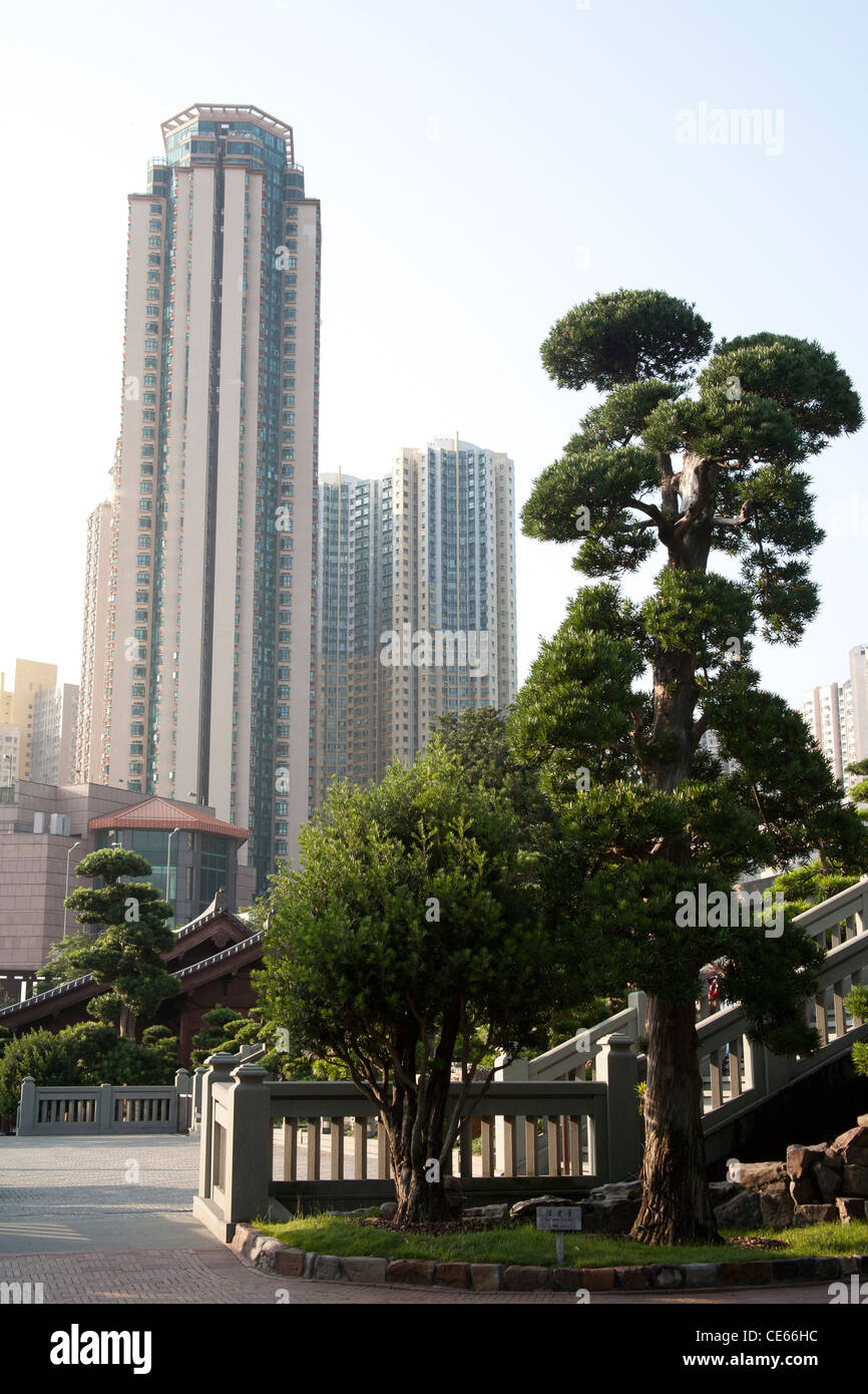 Trees at the entrance to the Chi Lin Nunnery Diamond Hill, Kowloon Hong ...